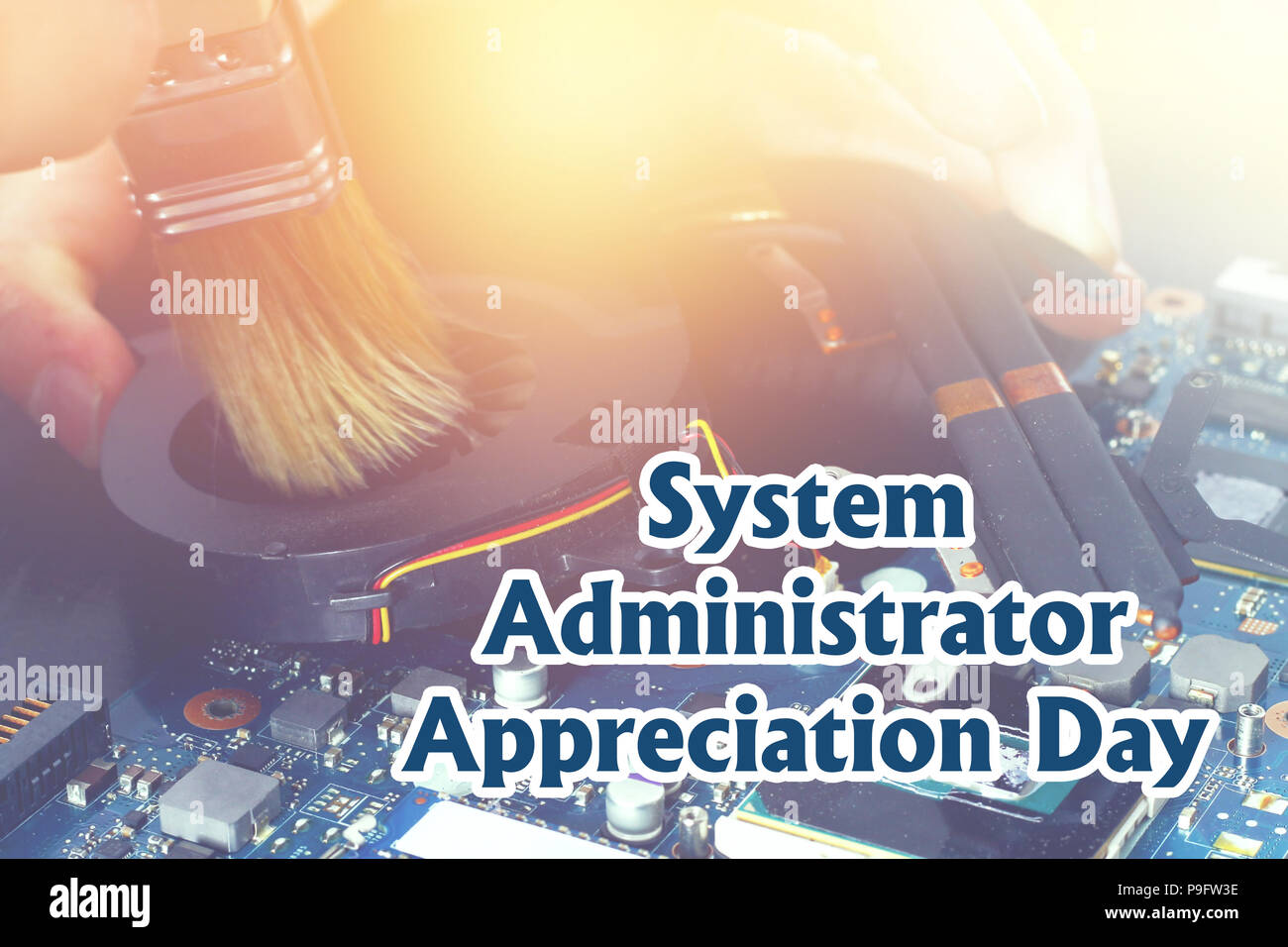 System Administrator Appreciation Day. Postcard for the holiday. The ...