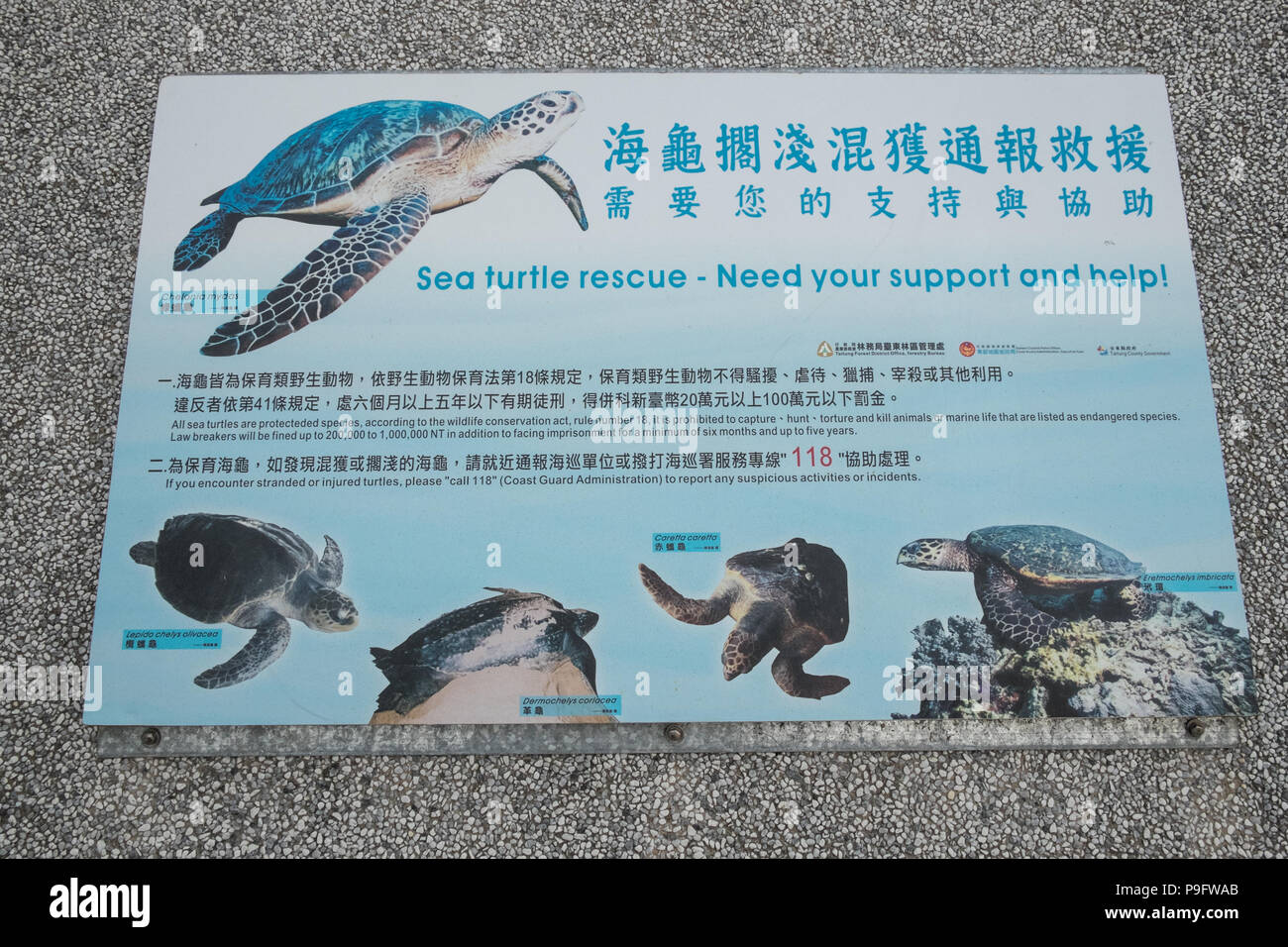 Xin Lin, beach,harbour,tropical,scenery,Taitung,Taitung County,East ...