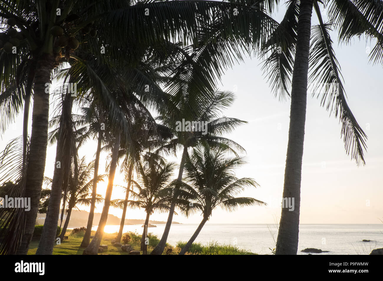 Xin Lin, beach,harbour, tropical,scenery,Taitung,Taitung County,East ...