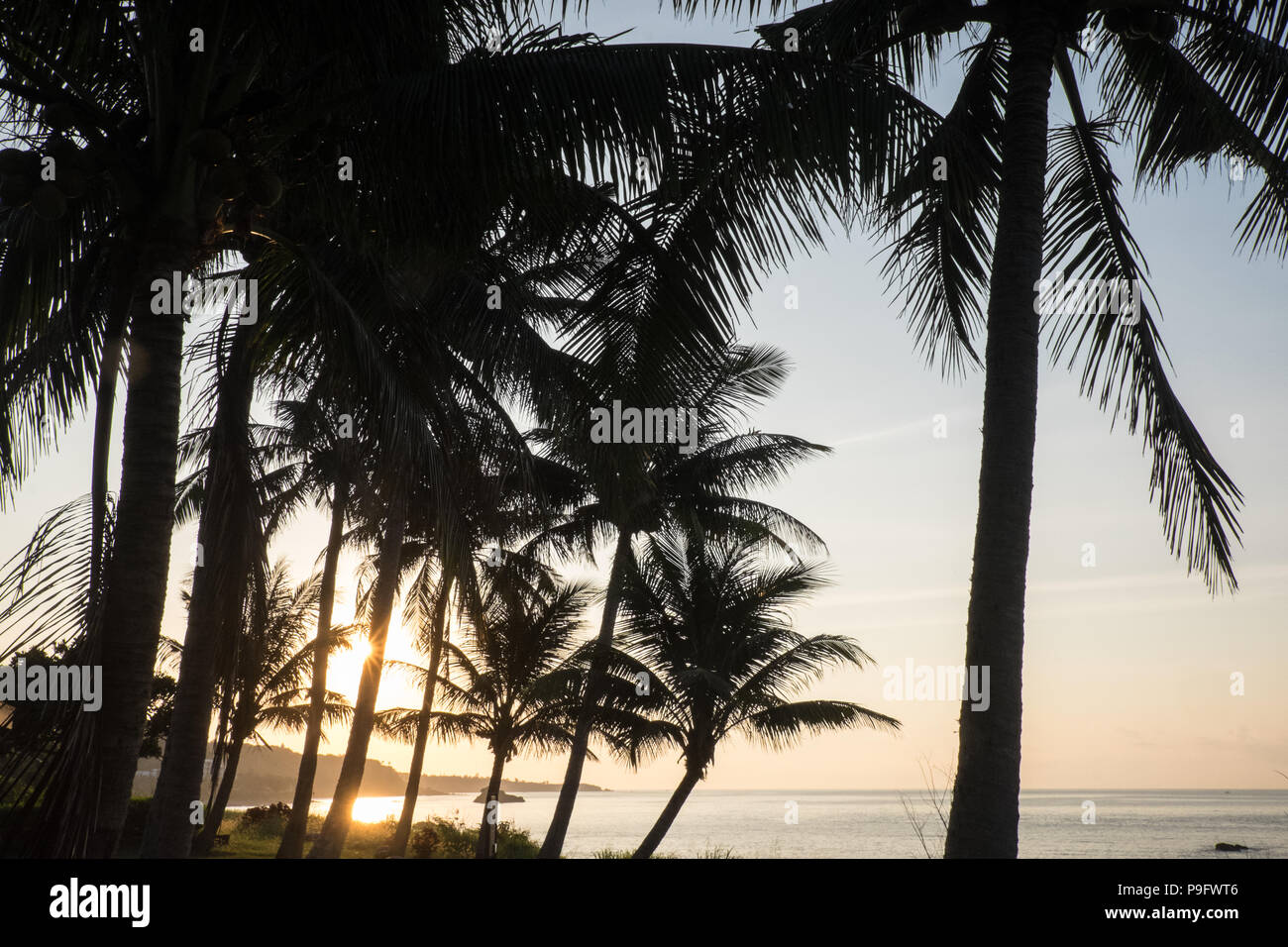 Xin Lin, beach,harbour, tropical,scenery,Taitung,Taitung County,East ...
