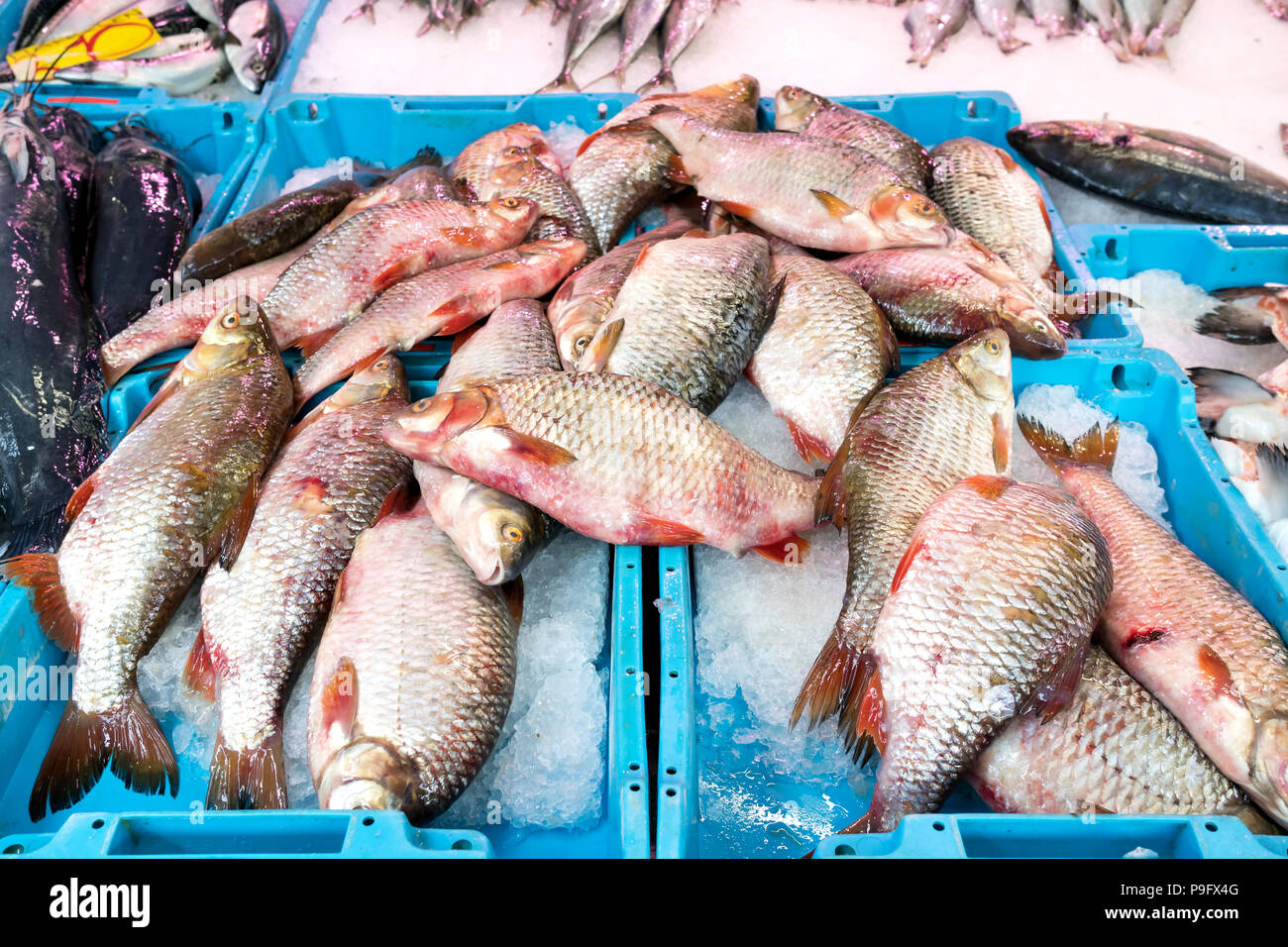 Fishmonger counter hi-res stock photography and images - Alamy
