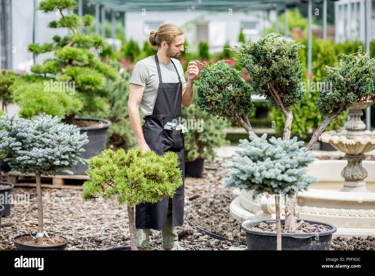 Gardener working in the garden Stock Photo - Alamy