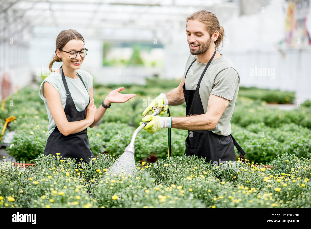 Workers with flowers at the greenhouse Stock Photo - Alamy
