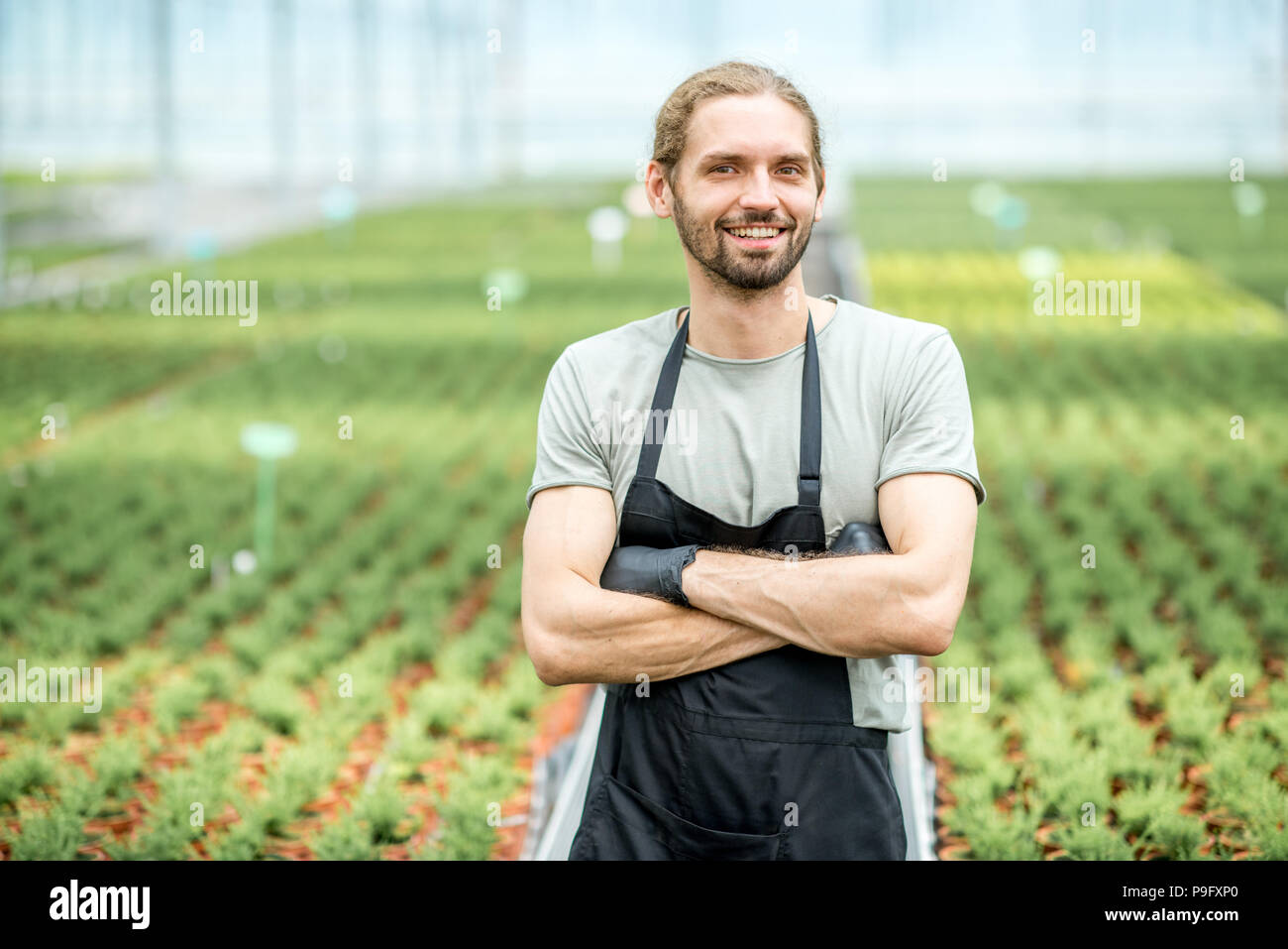 Worker in the greenhouse Stock Photo - Alamy