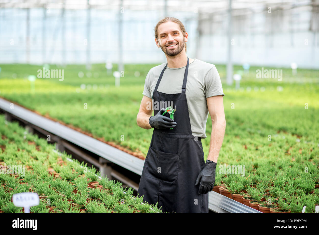 Worker in the greenhouse Stock Photo - Alamy