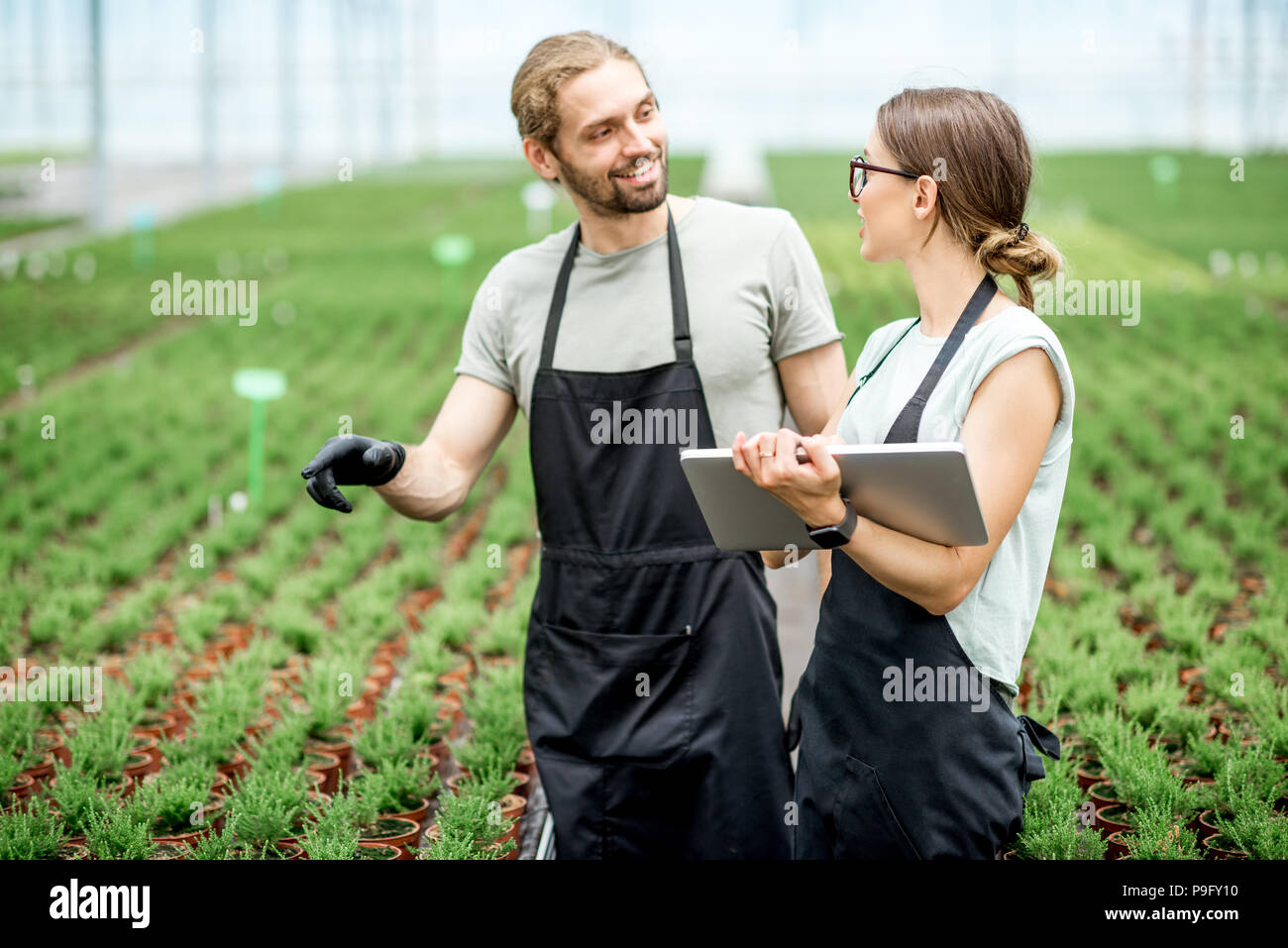 Workkers with digital tablet in the greenhouse Stock Photo - Alamy