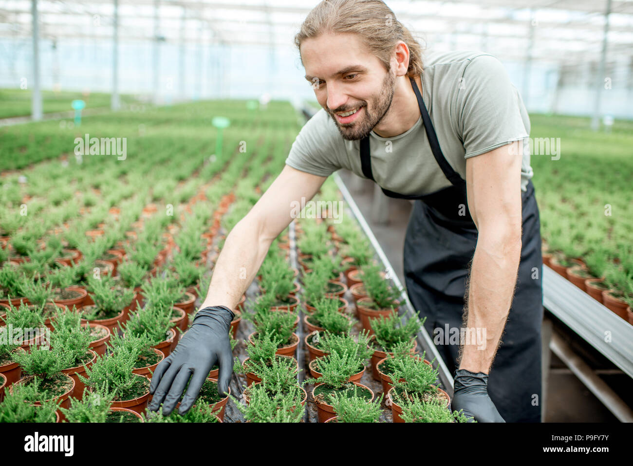 Worker in the greenhouse of plant production Stock Photo - Alamy
