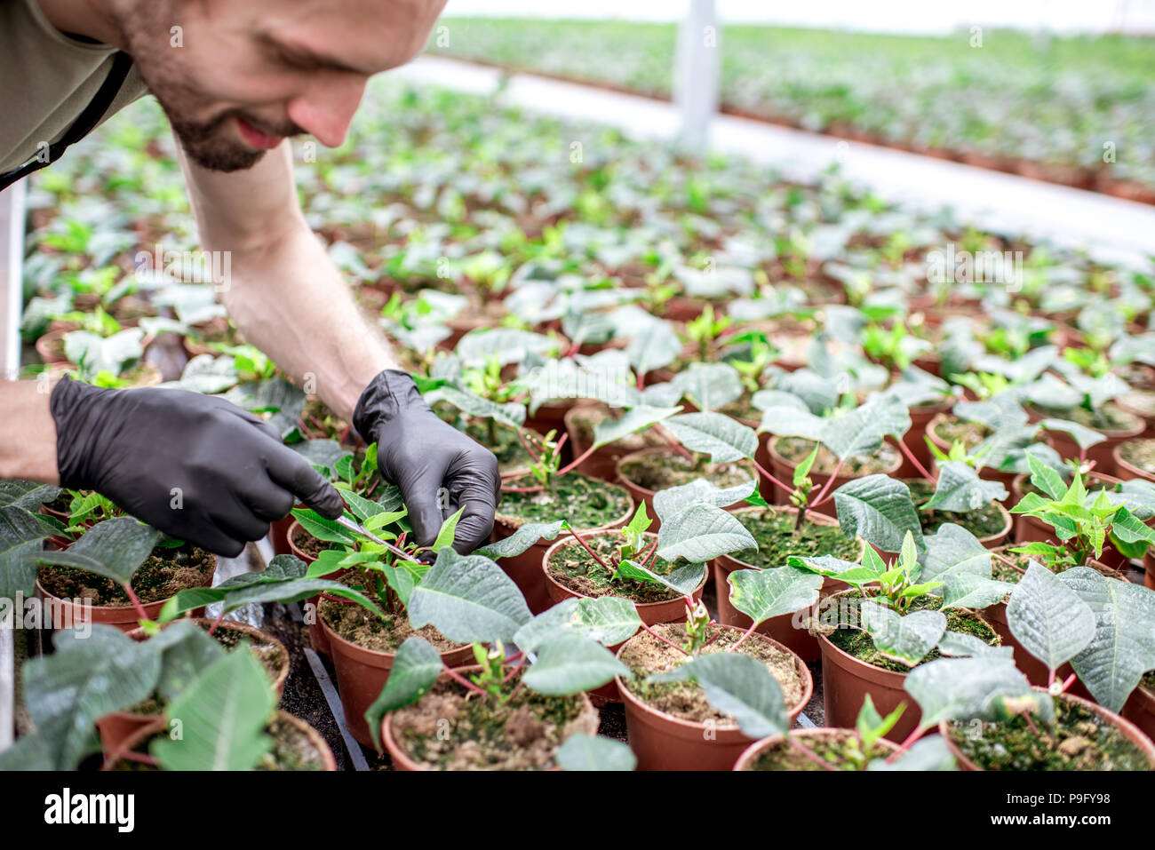 Cutting Stock Photos & Cutting Stock Images - Alamy