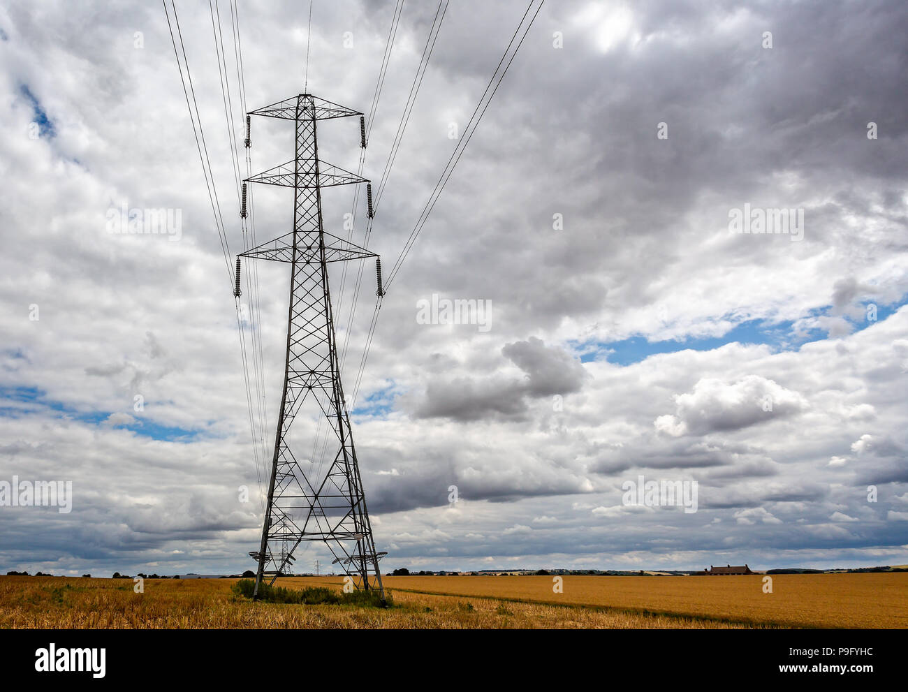 Large electricity pylon with pylons in the distance in a field of corn ...