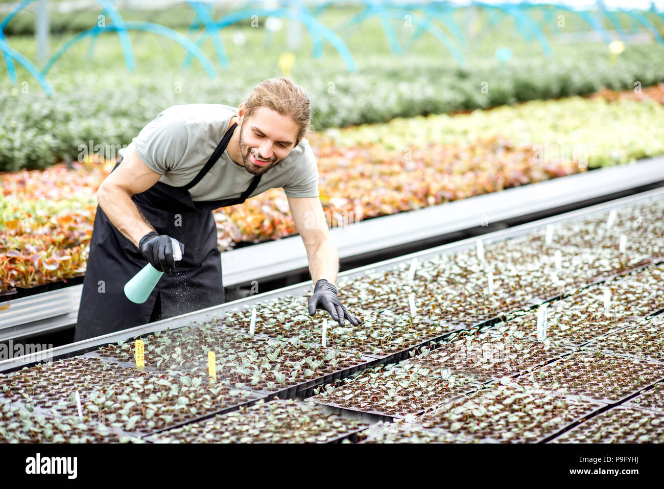 Sprinkling plant hi-res stock photography and images - Alamy