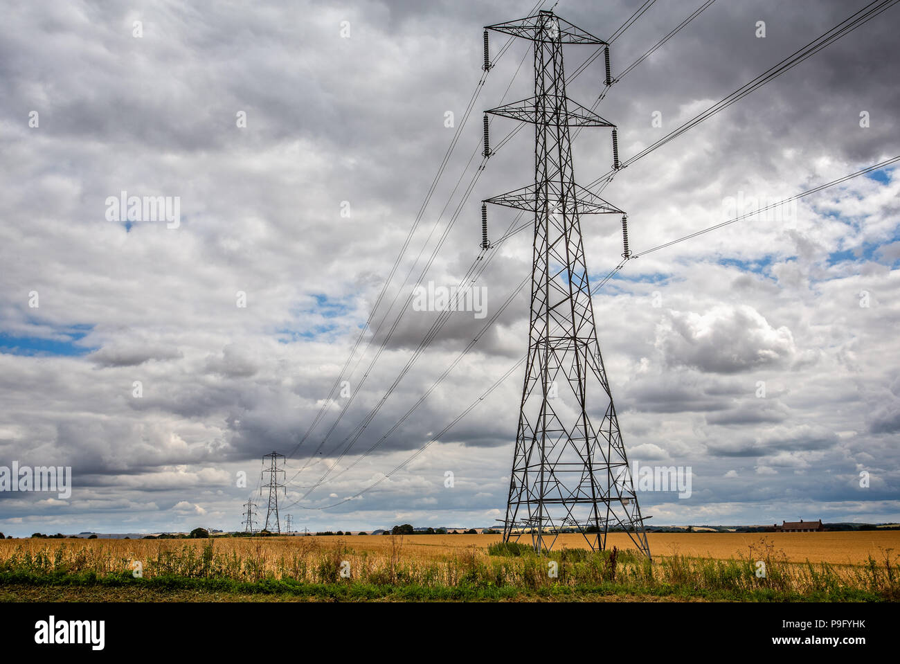 Large electricity pylon with pylons in the distance in a field of corn ...