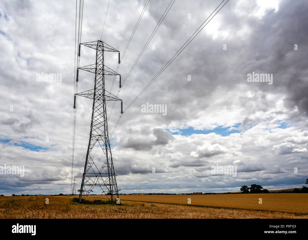 Large electricity pylon with pylons in the distance in a field of corn ...