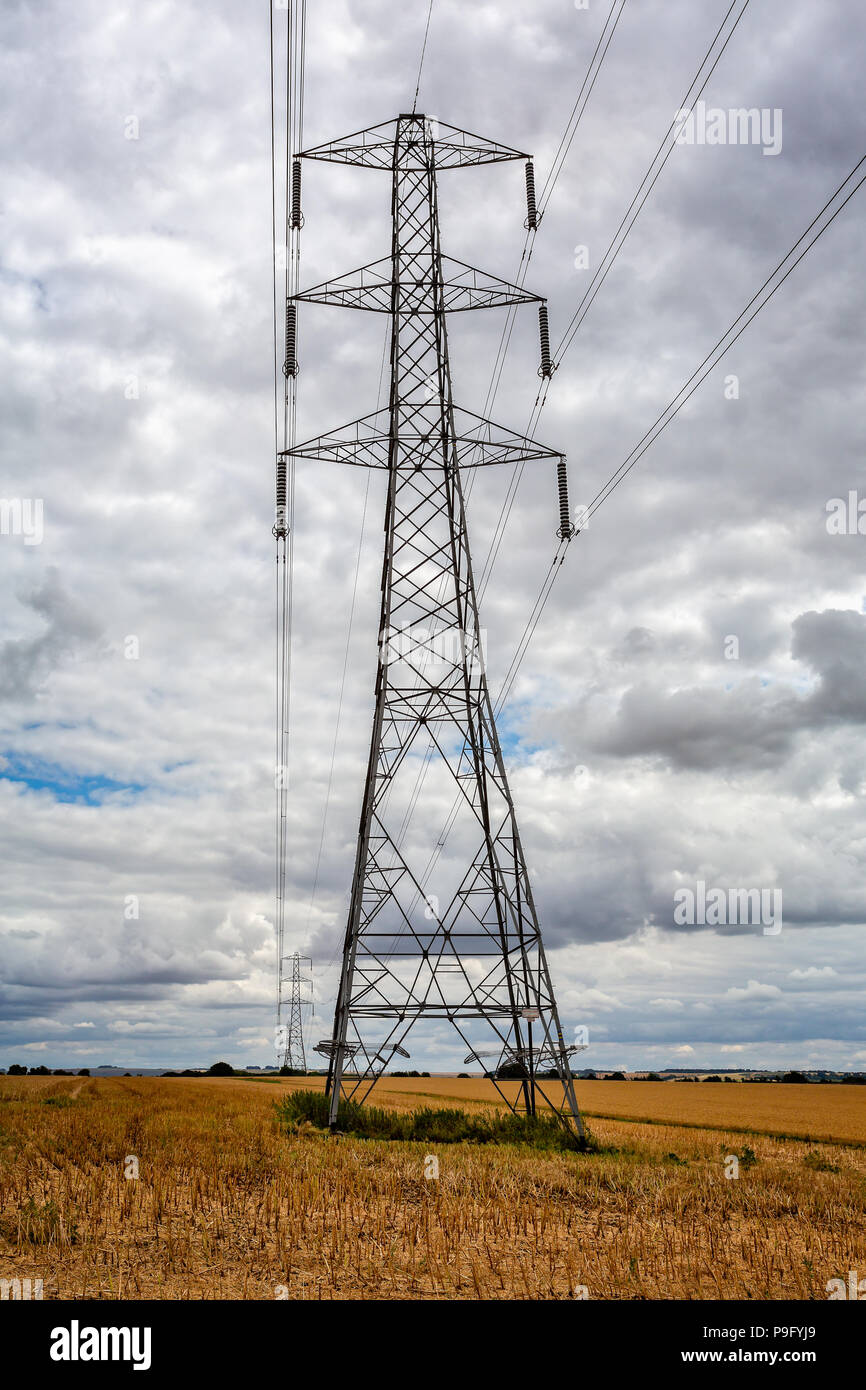 Large electricity pylon with pylons in the distance in a field of corn ...