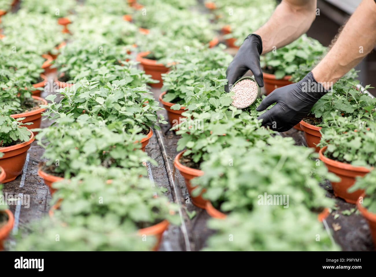 Fertilizer Plant High Resolution Stock Photography and Images - Alamy