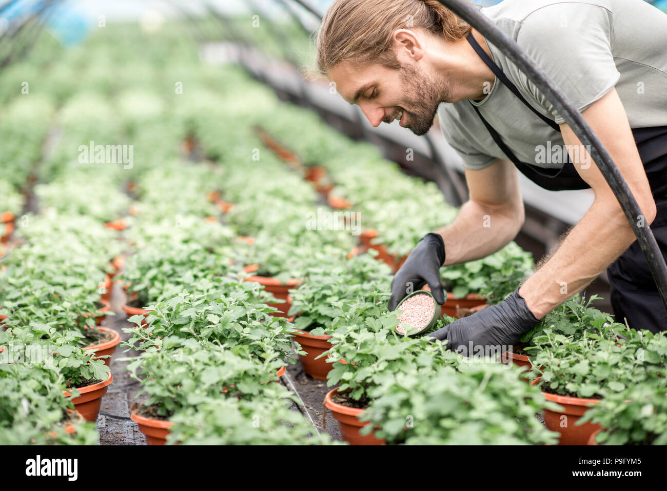 Farmer With Fertilizer High Resolution Stock Photography and Images - Alamy