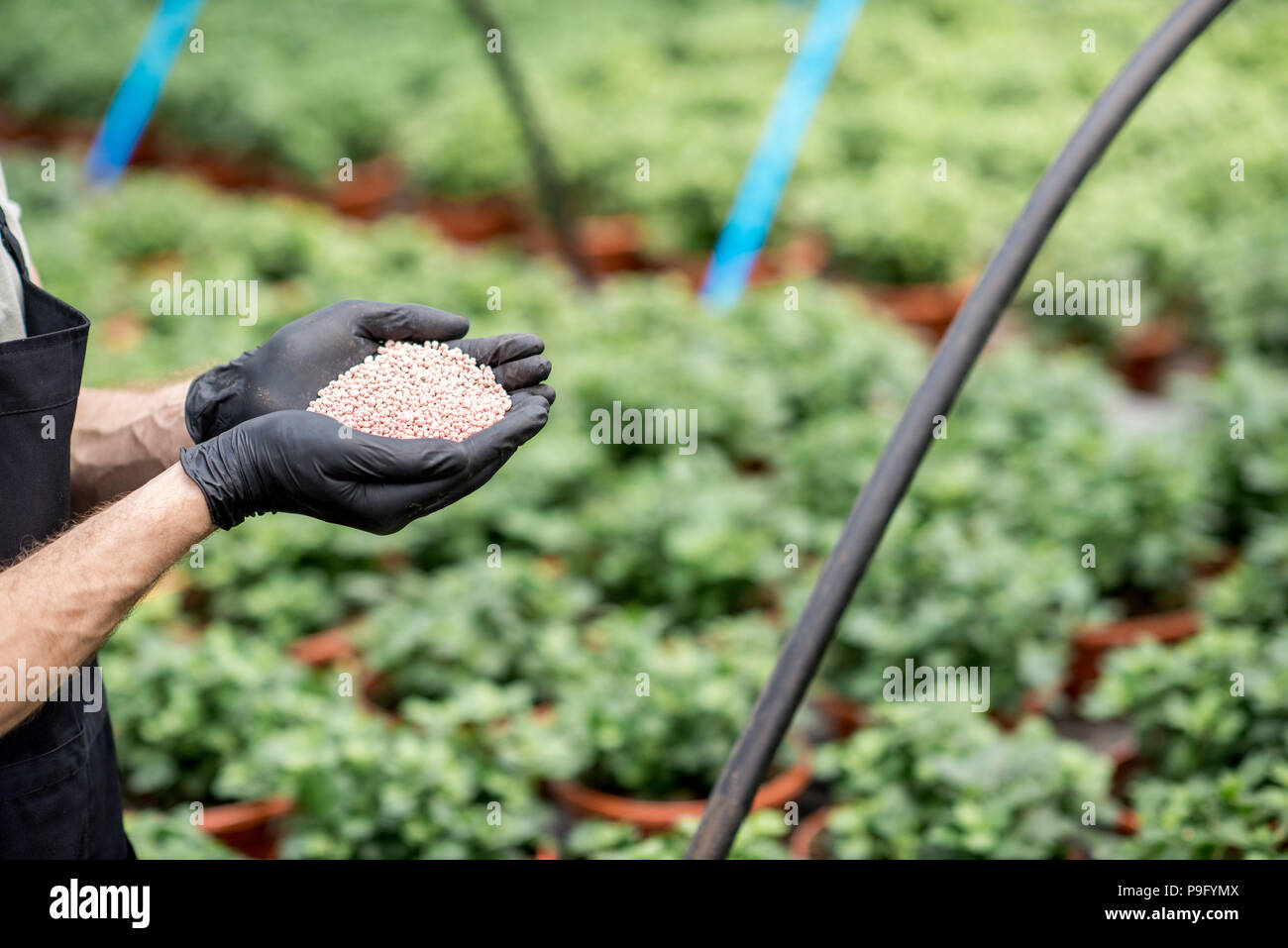 Holding mineral fertilizers Stock Photo - Alamy