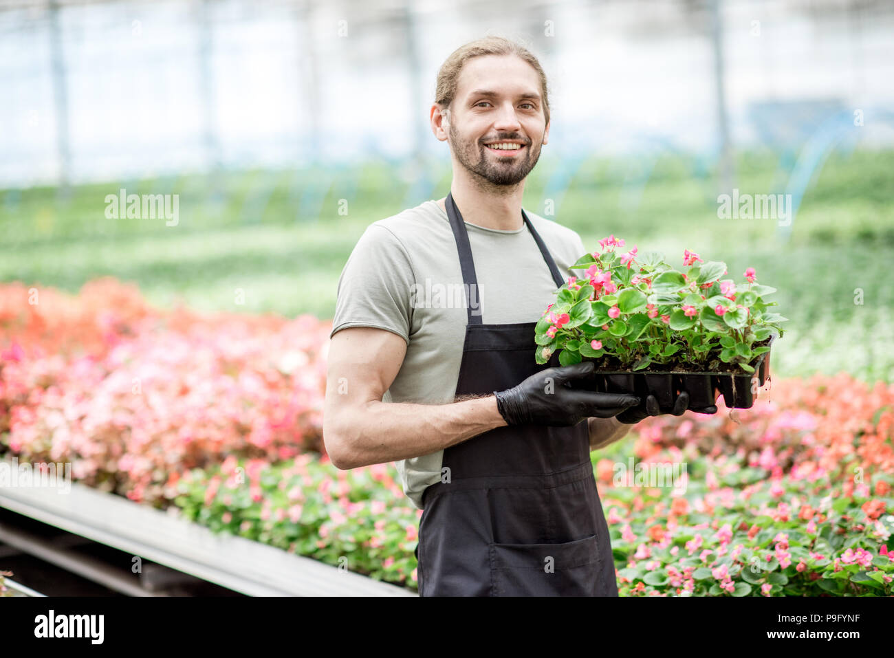Worker with flower in the greenhouse Stock Photo - Alamy