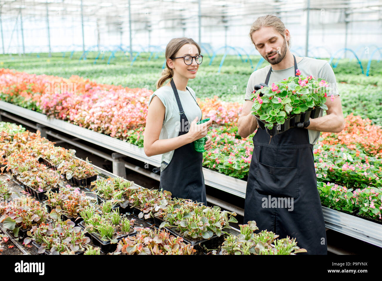 Smiling workers in greenhouse hi-res stock photography and images - Alamy