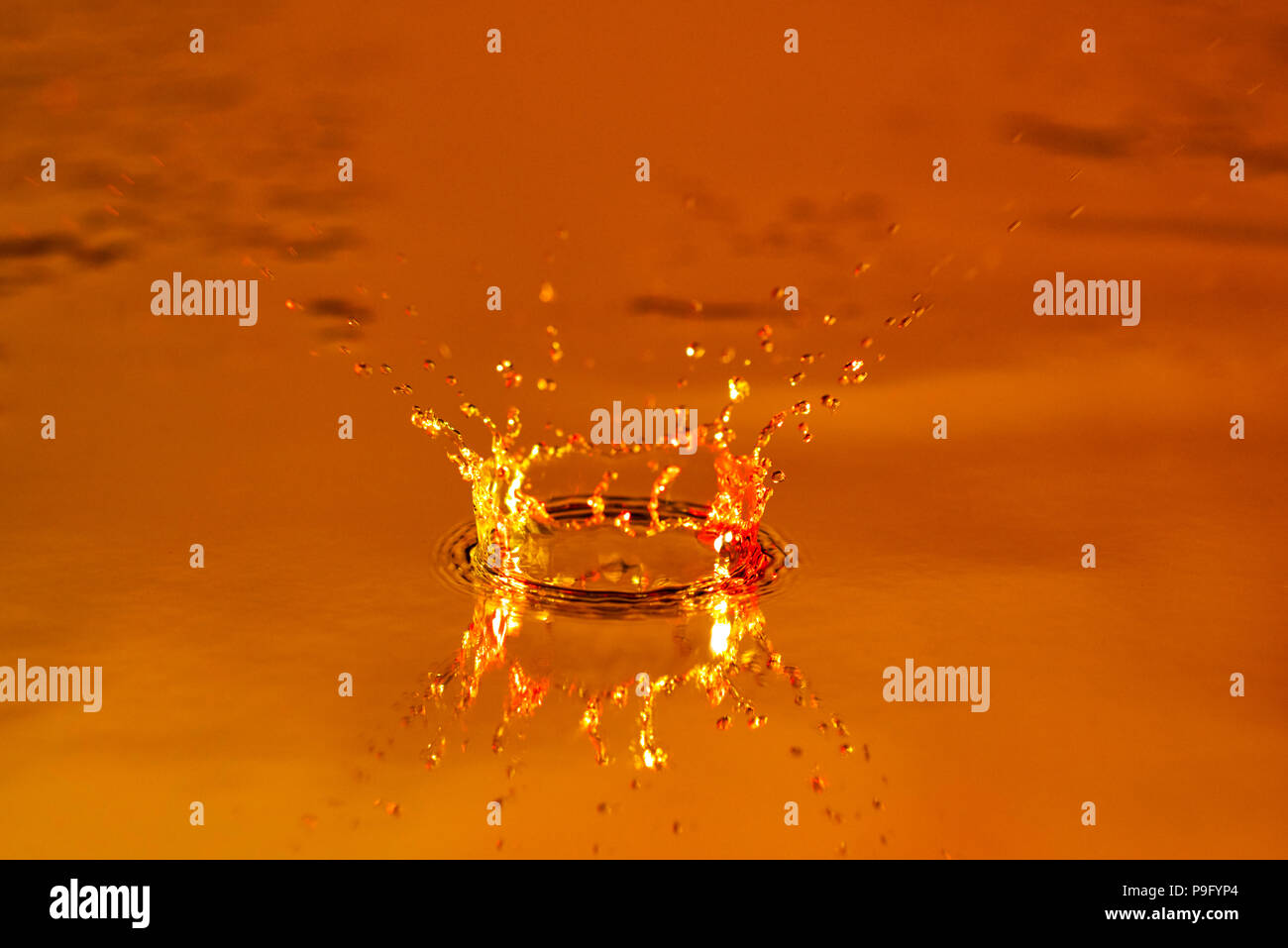 Close up shot water drops hi-res stock photography and images - Alamy