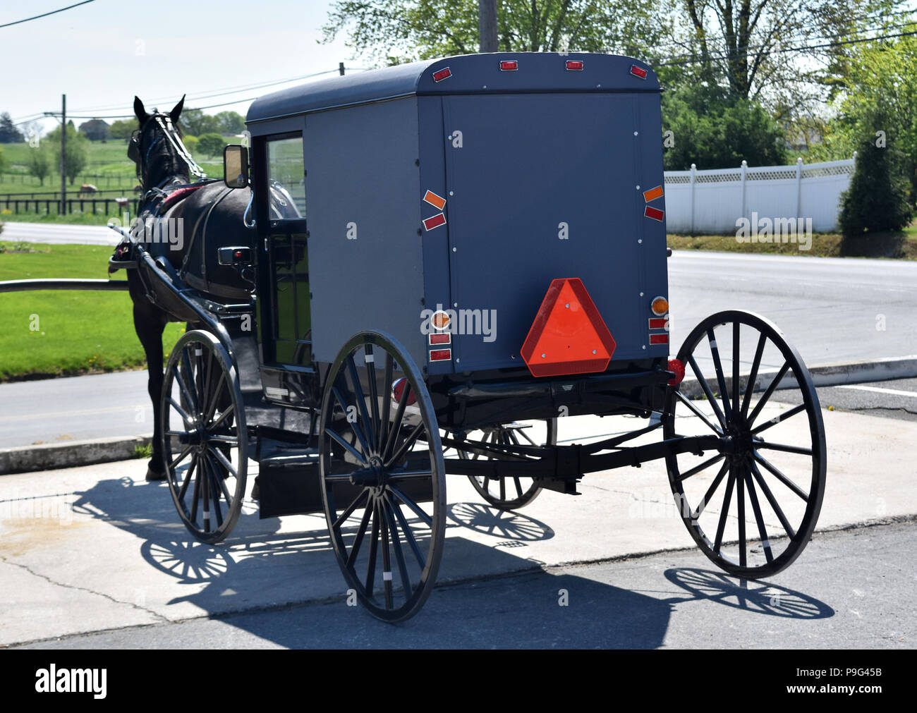 Horse drawn buggy parked outside a store in Bird in Hand Stock Photo ...