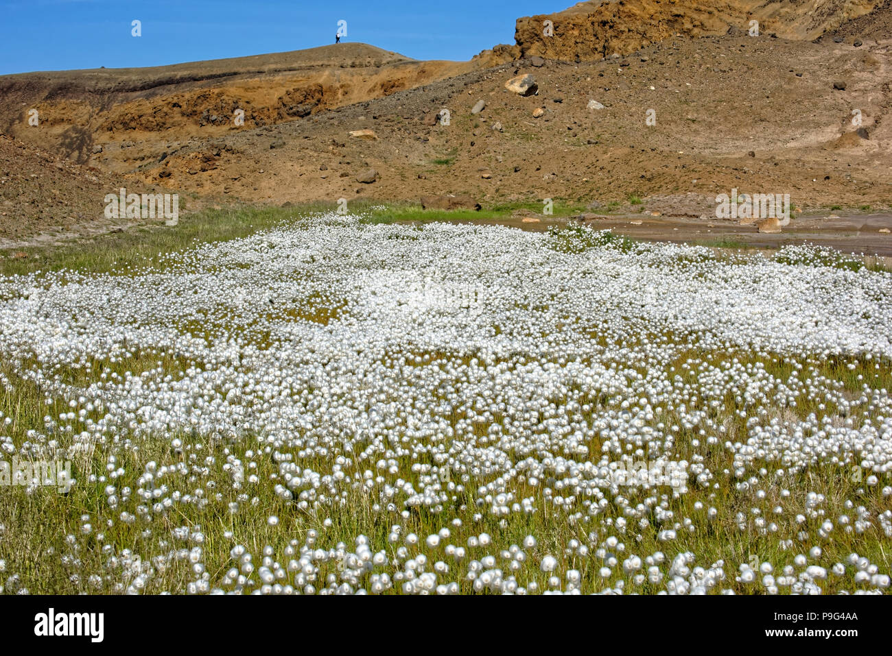 Explosion crater Viti, Krafla Volcano, near Reykjahlid, Iceland Stock ...