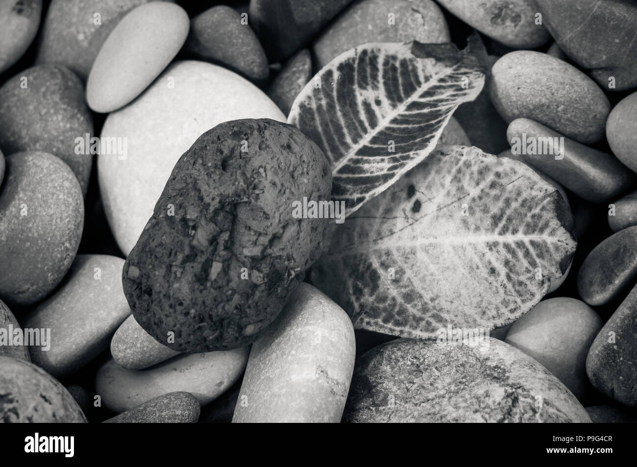 boulders and colorful pebbles on the beach on a warm summer day Stock ...