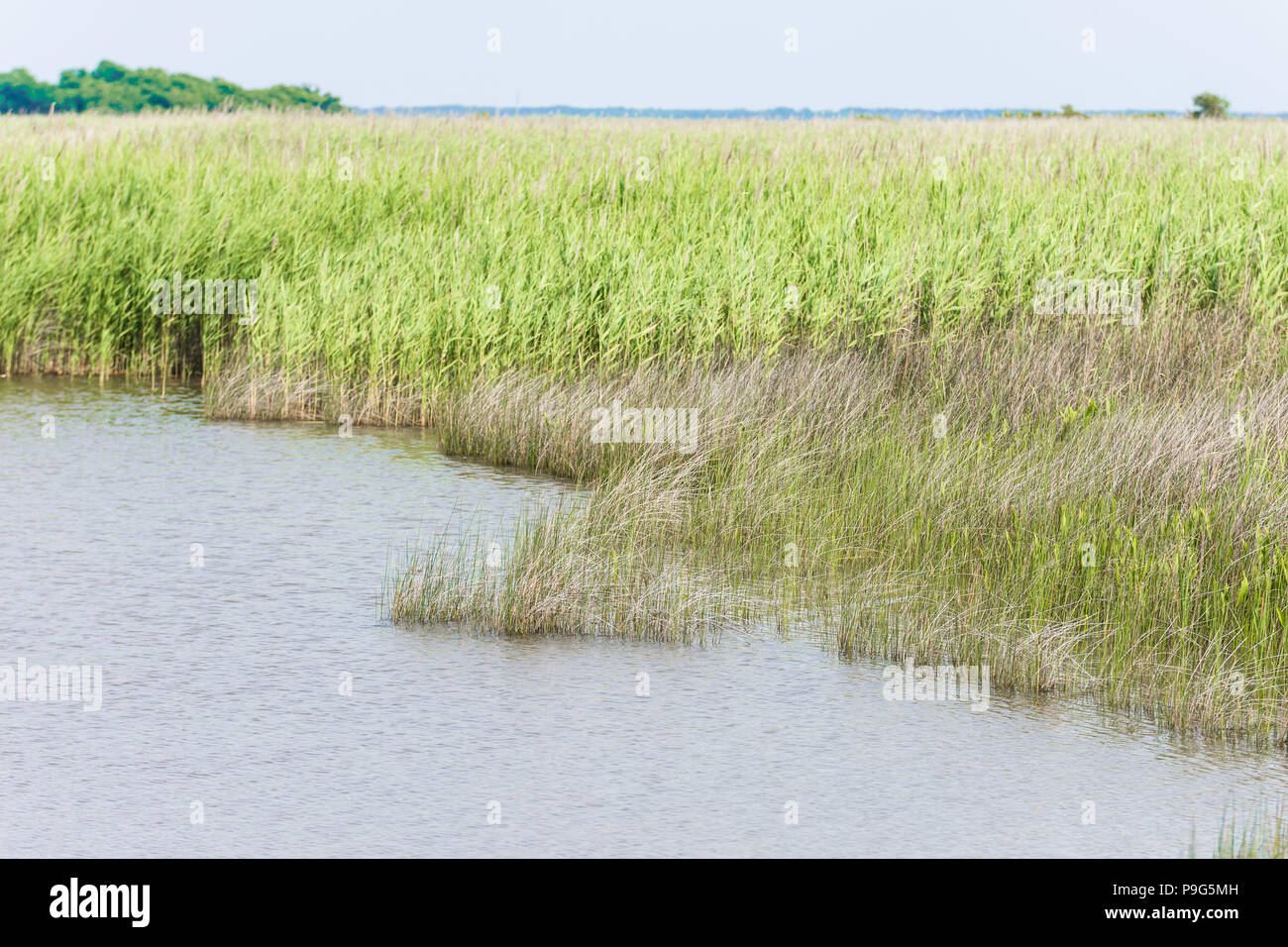 Sandbridge hi-res stock photography and images - Alamy
