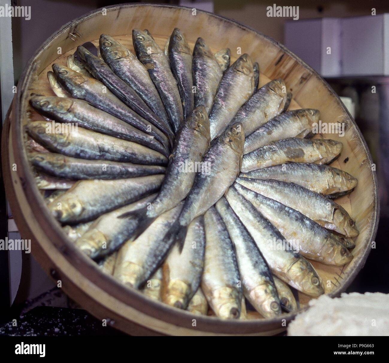 CAJA DE ARENQUES Stock Photo - Alamy