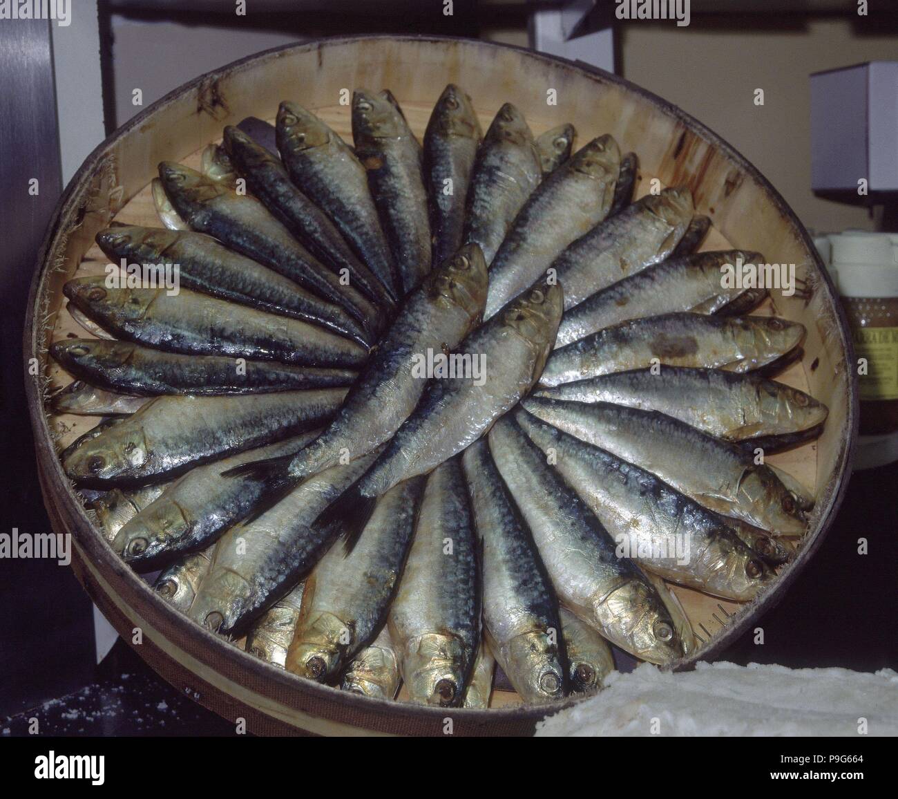 Arenques hi-res stock photography and images - Alamy