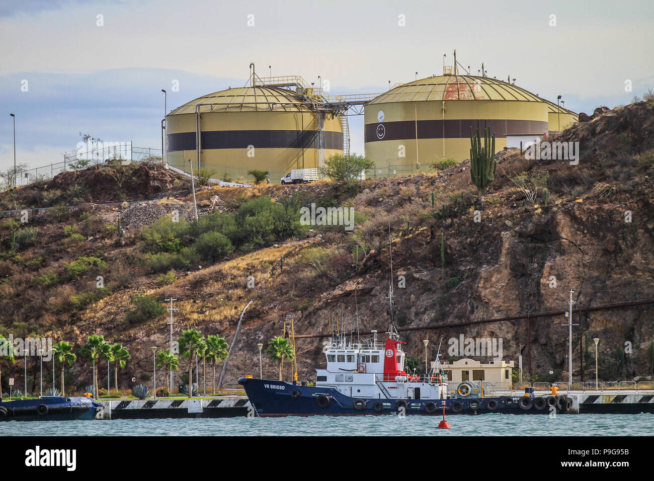 Report of the fishing port of Guaymas Sonora. Reportaje del puerto ...