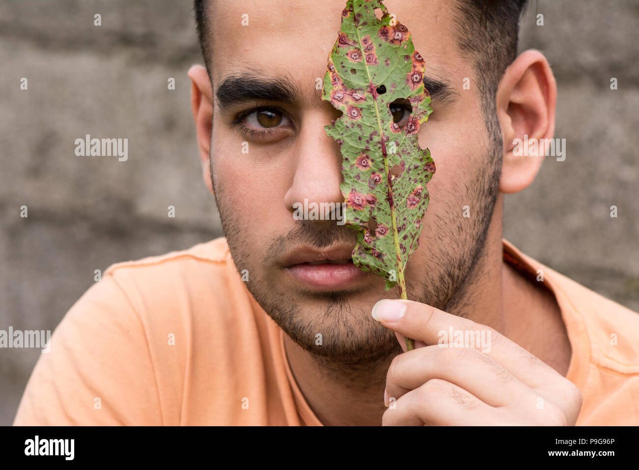 Serious young man holding a ruin leaf in front of face and peeking ...