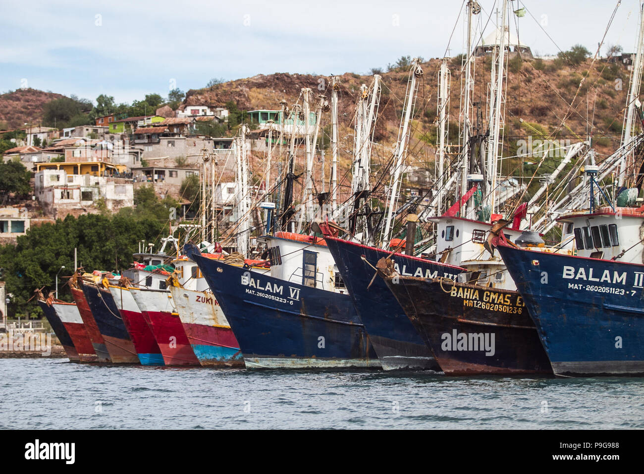 Report of the fishing port of Guaymas Sonora. Reportaje del puerto ...