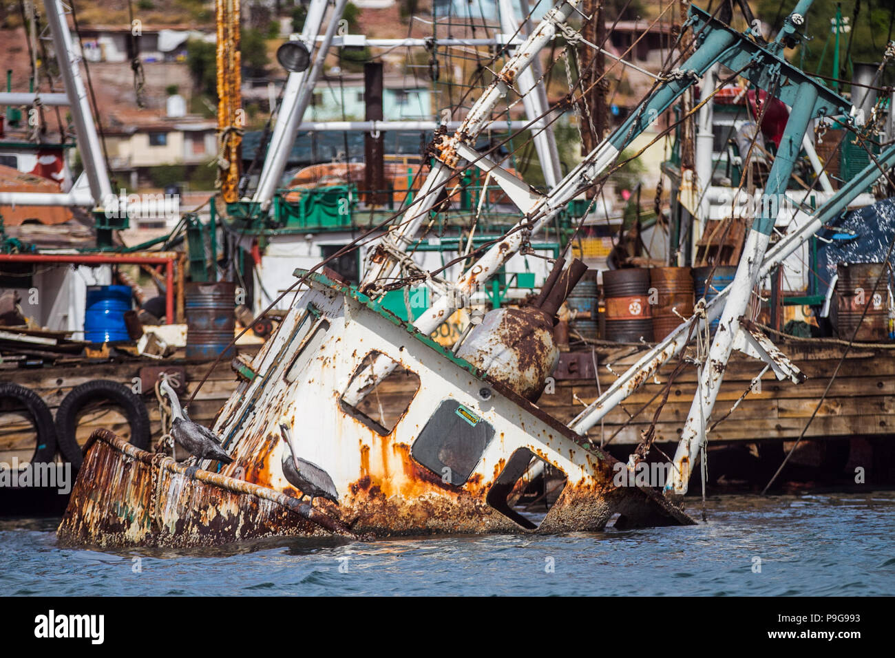 Report of the fishing port of Guaymas Sonora. Reportaje del puerto ...