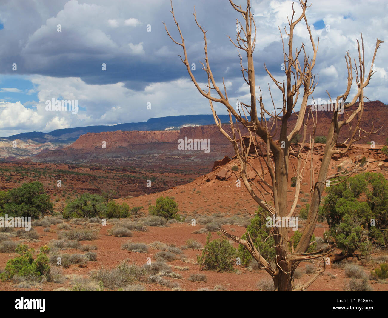 Solitary mountains in desert mountains hi-res stock photography and ...