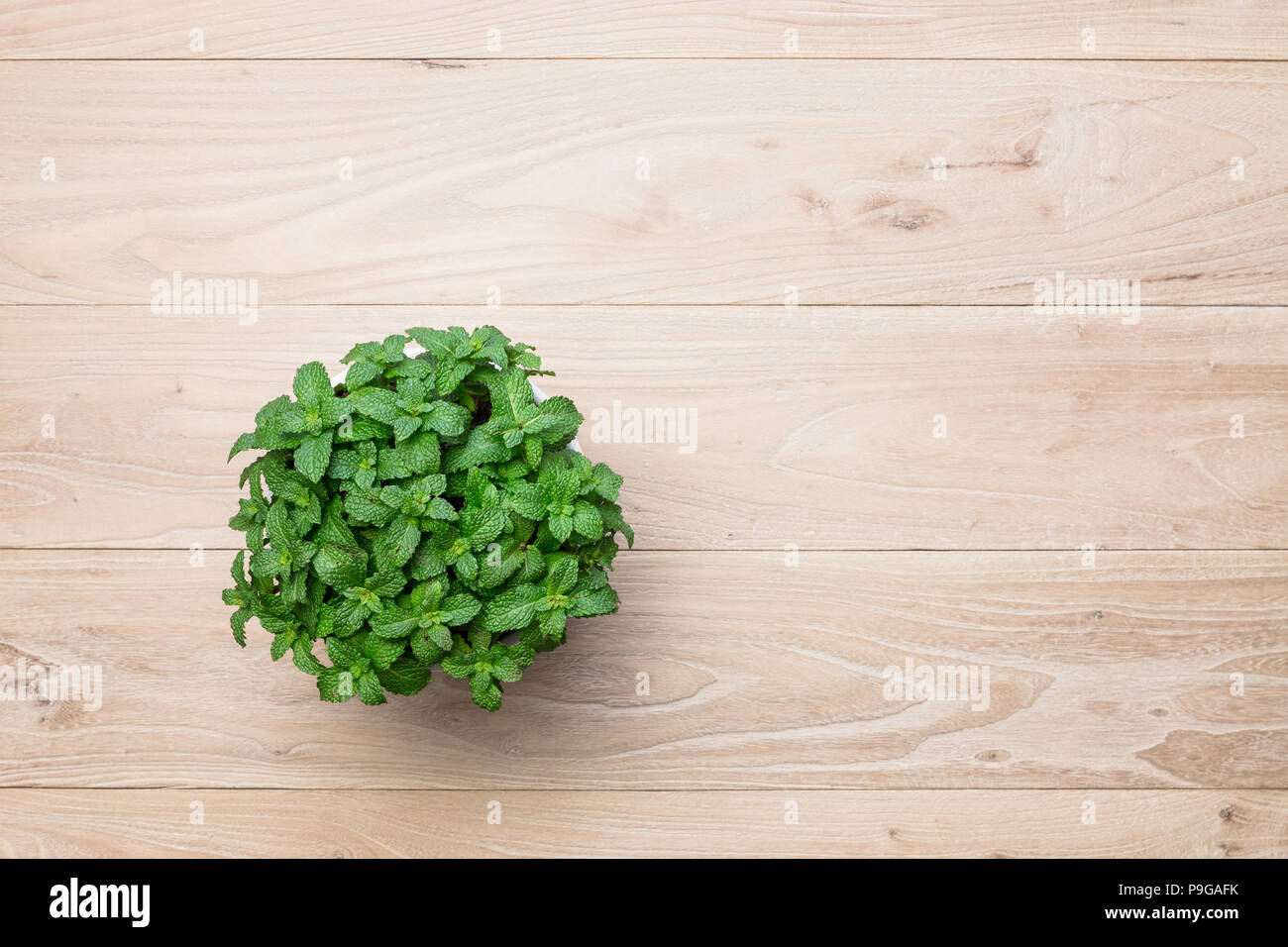 Potted herb on grass hi-res stock photography and images - Alamy