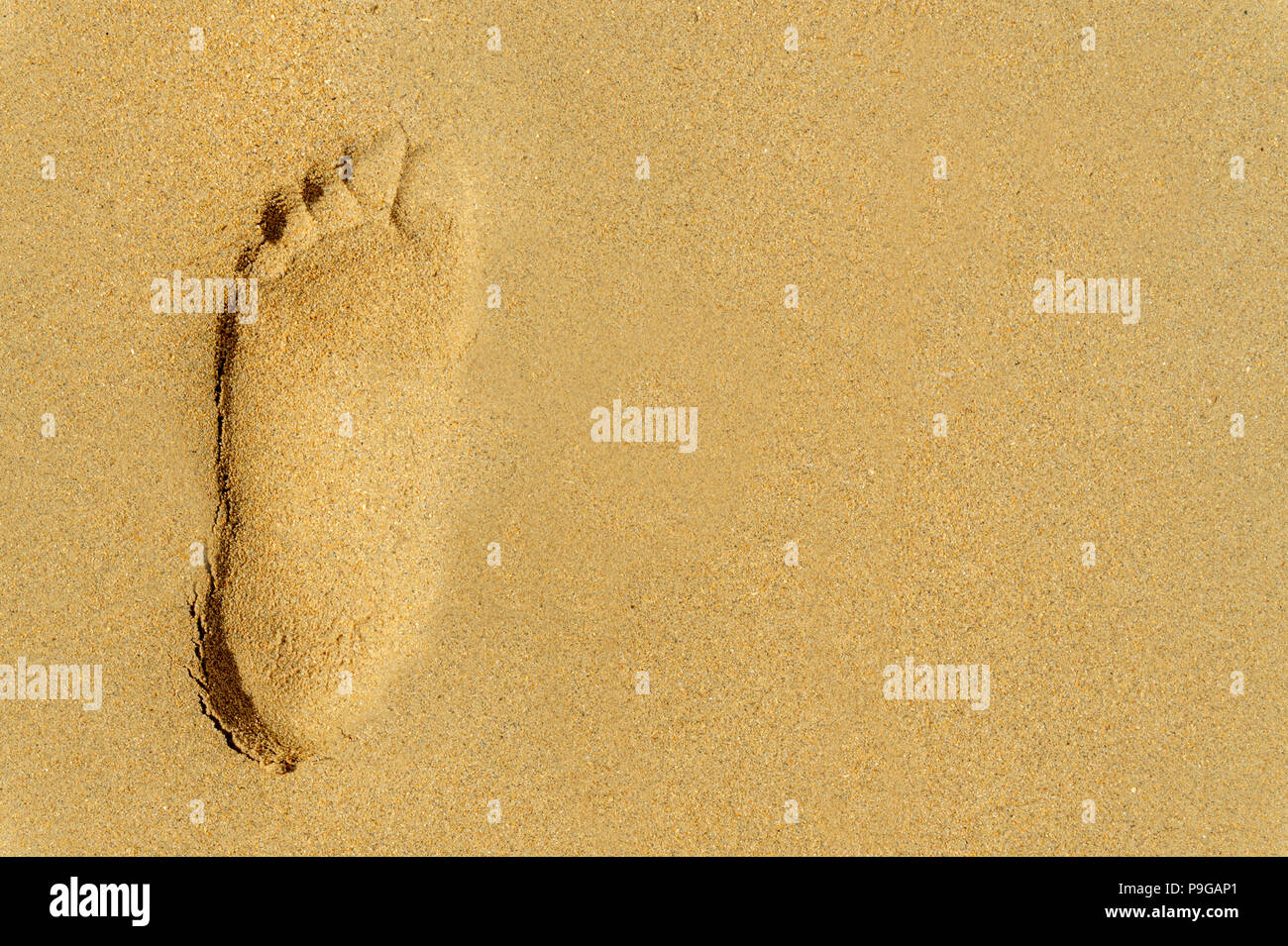 Large footprint hi-res stock photography and images - Alamy