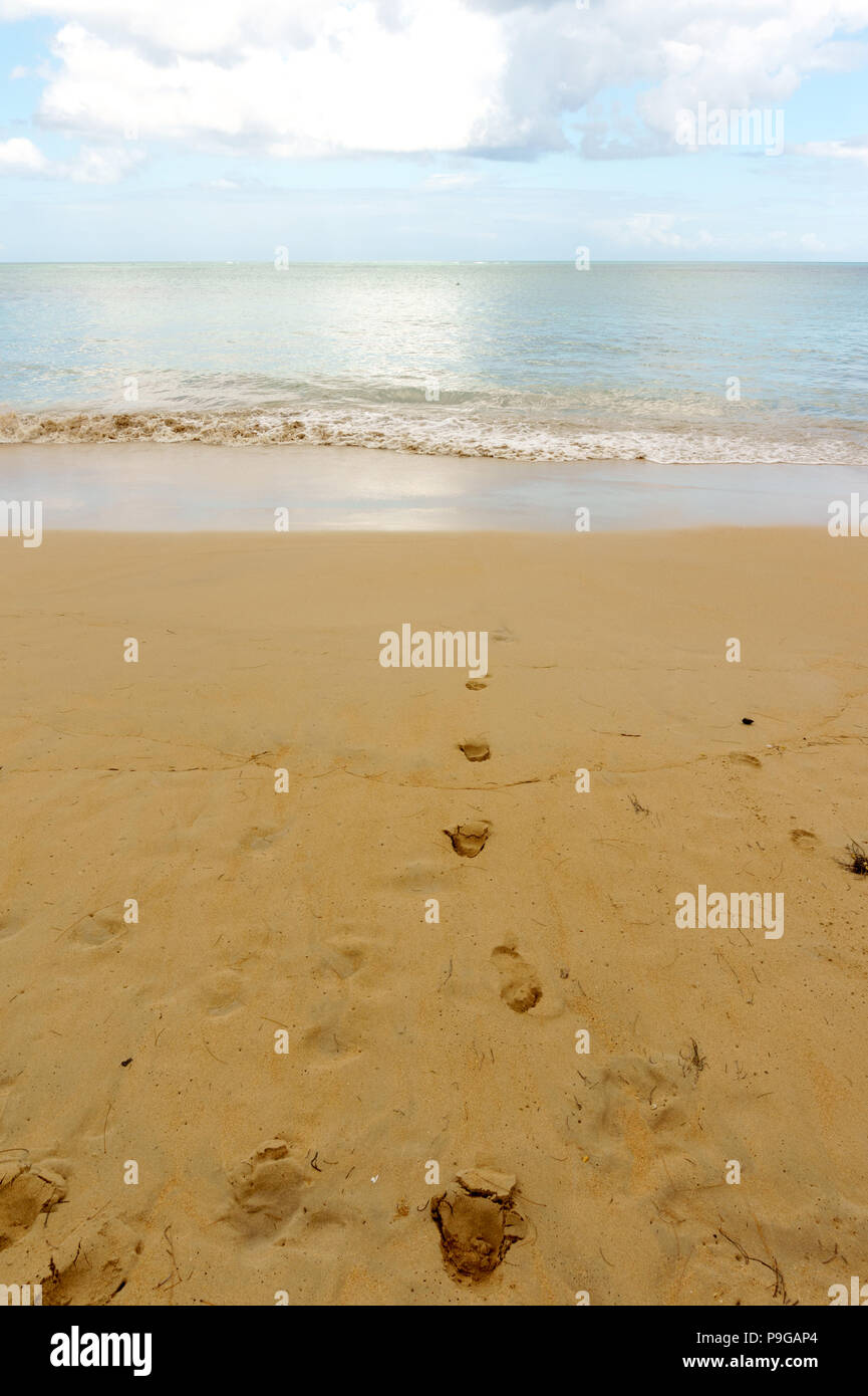 Footprints leading into the ocean hi-res stock photography and images ...
