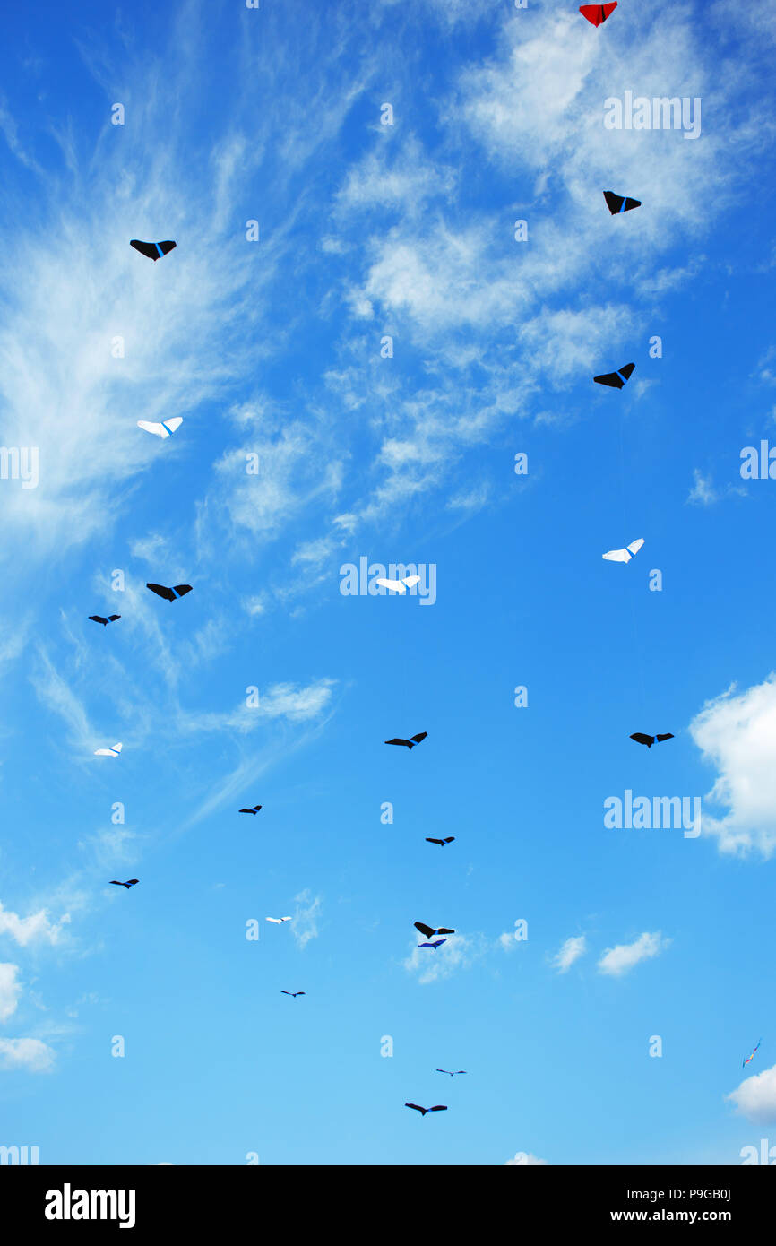 Group of kites hi-res stock photography and images - Alamy