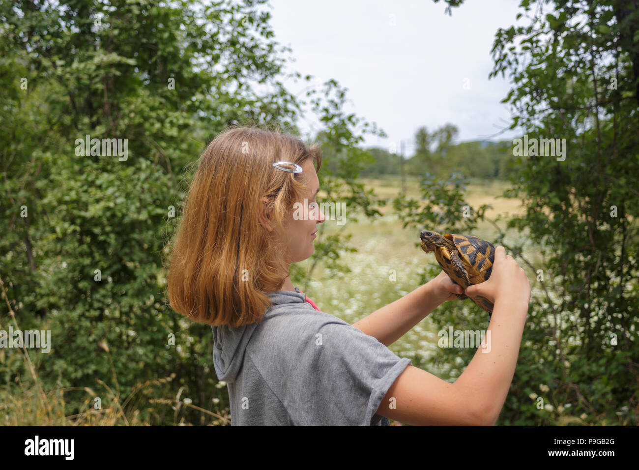 Girl hold the turtle on pakm. girl explores the turtle. friendship with ...