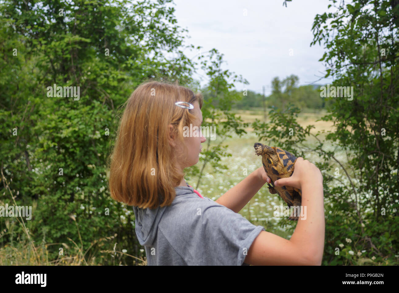 Girl hold the turtle on pakm. girl explores the turtle. friendship with ...