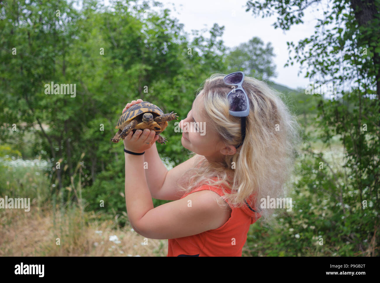 Girl hold the turtle on the road. girl explores the turtle. friendship ...