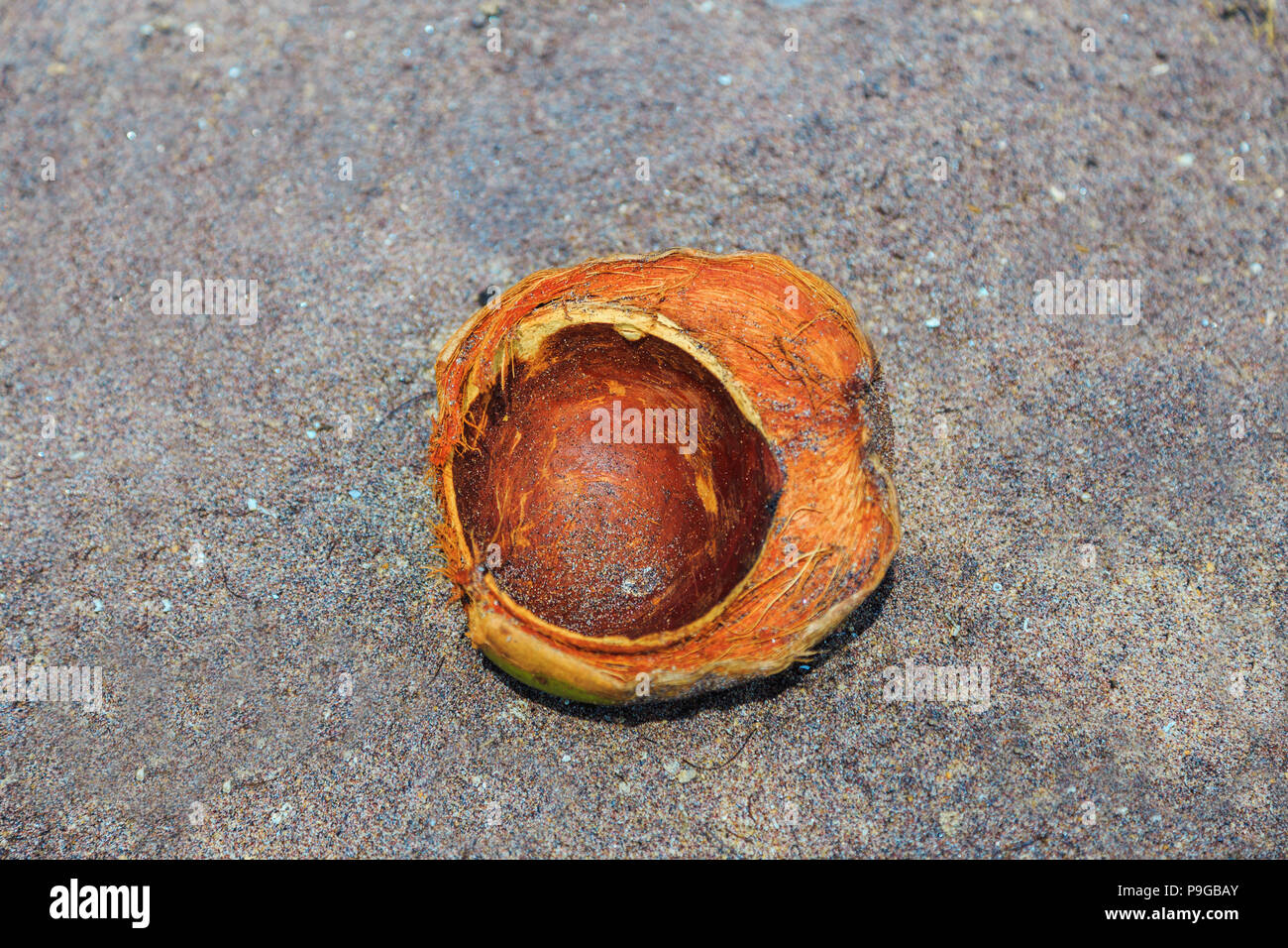 Empty husk hi-res stock photography and images - Alamy
