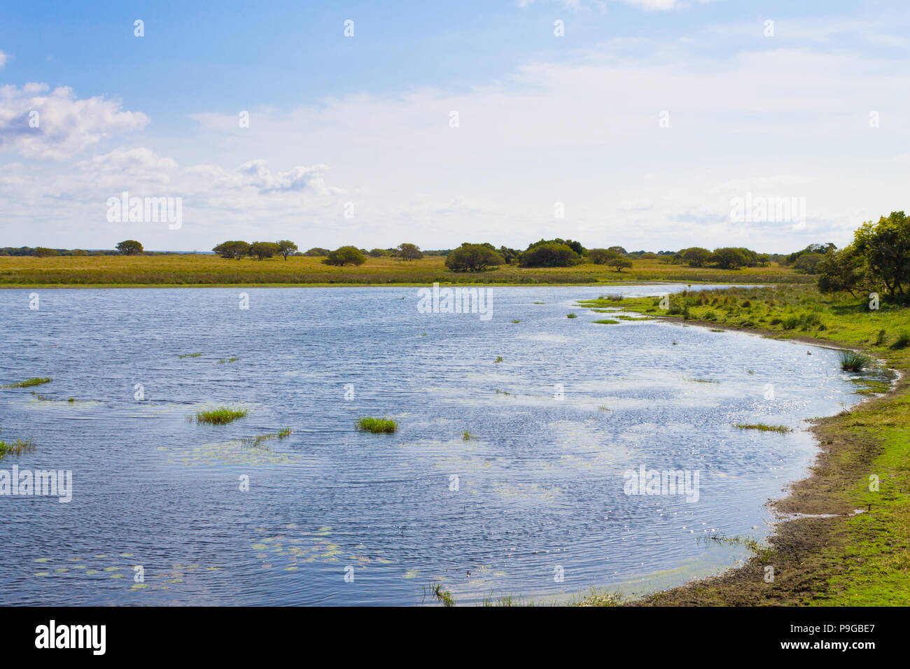 Isimangaliso Wetland Park landscape, South Africa. Beautiful panorama ...