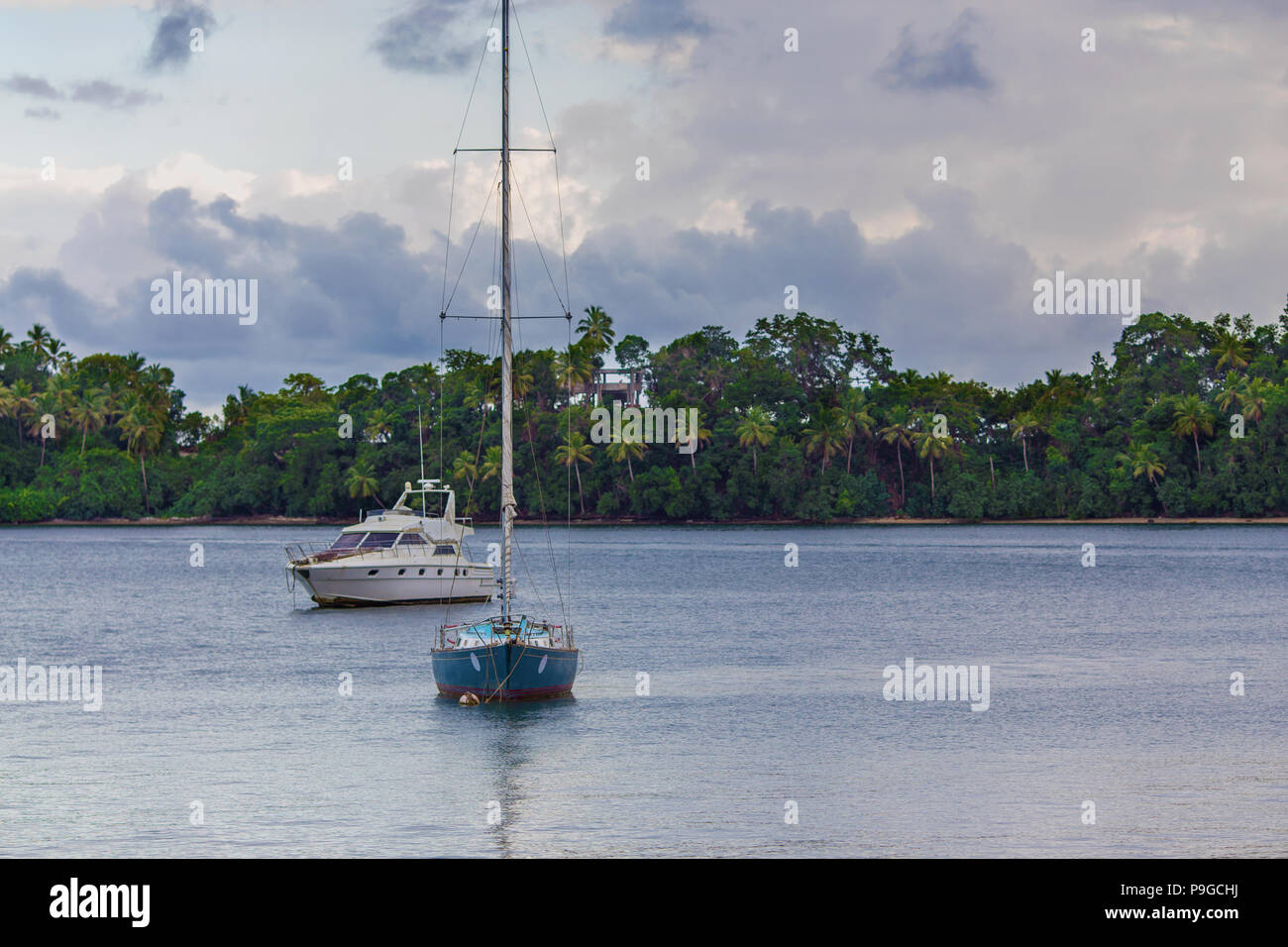 sail boats near the cost with palm trees in cloudy weather Stock Photo ...
