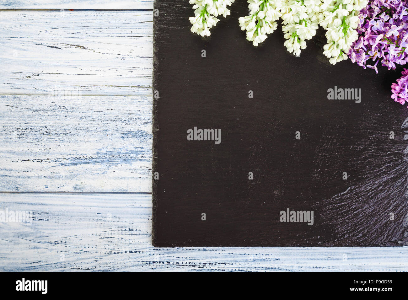 Purple and white lilac flowers against the background of a slate board ...