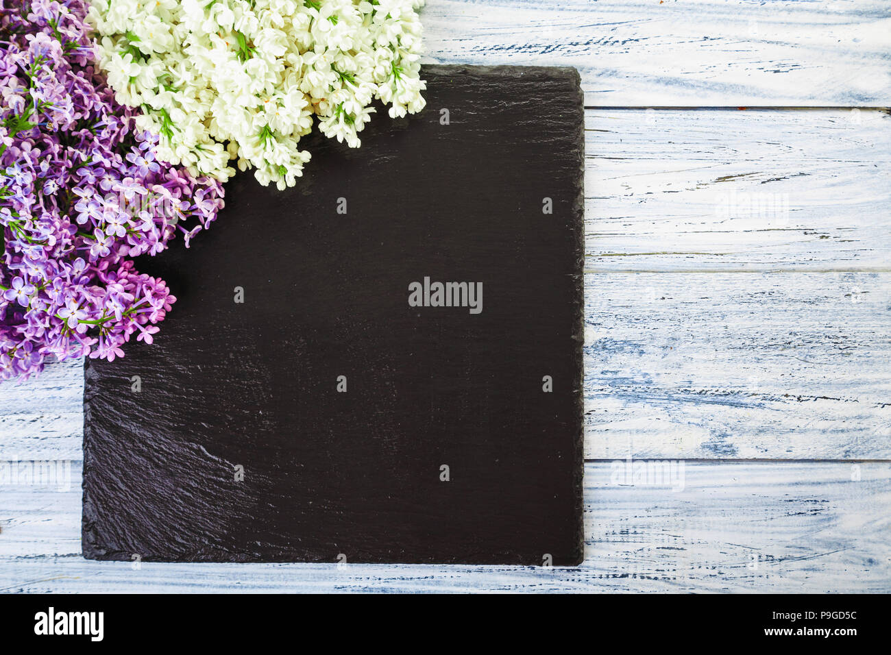 Purple and white lilac flowers against the background of a slate board ...
