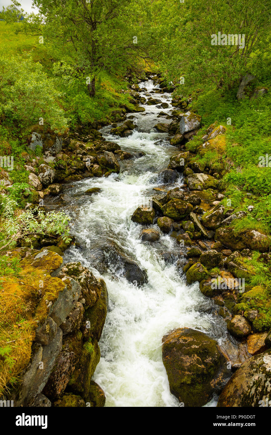 Norway stream grass hi-res stock photography and images - Alamy