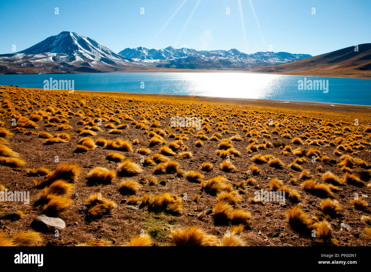 Desert lagoon hi-res stock photography and images - Alamy