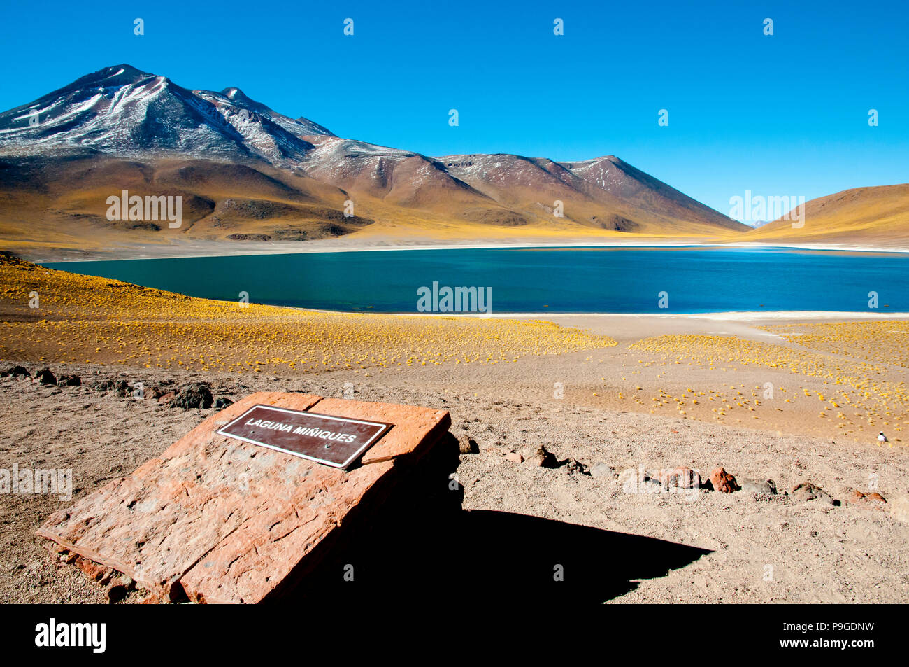 Miniques hi-res stock photography and images - Alamy