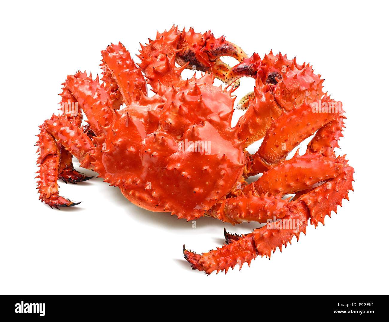 Red king crab seafood hi-res stock photography and images - Alamy